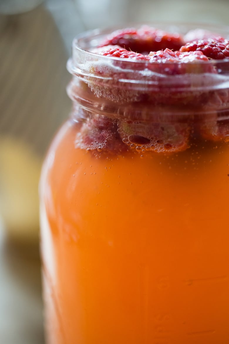 How to make WATER KEFIR! | An Easy Guide | Feasting at Home