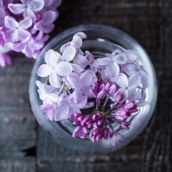 Lilac Water | Feasting At Home