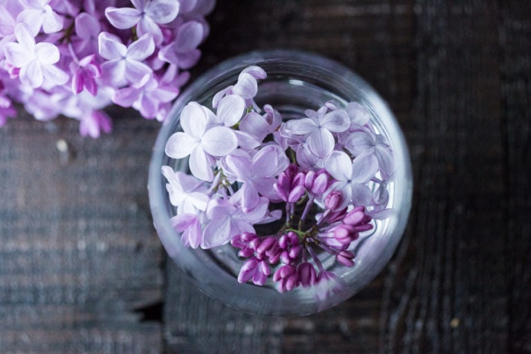 Lilac Water | Feasting At Home