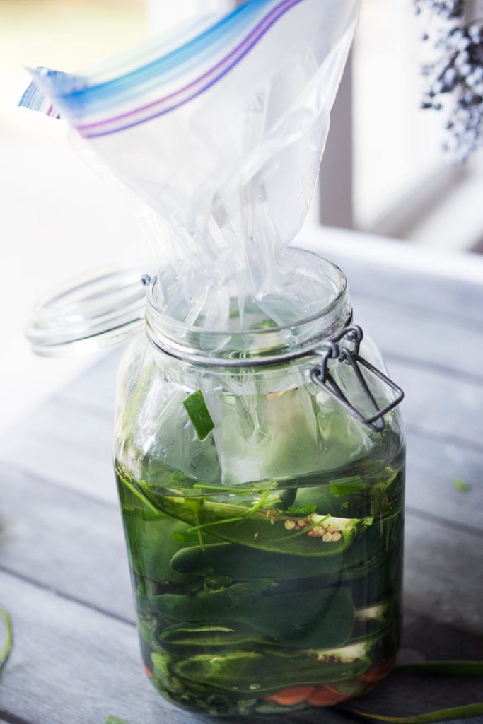 Fermented Hot Sauce - Simple and Delicious! | Feasting At Home