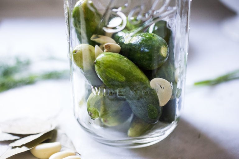 Fermented Pickles with Garlic and Dill | Feasting At Home