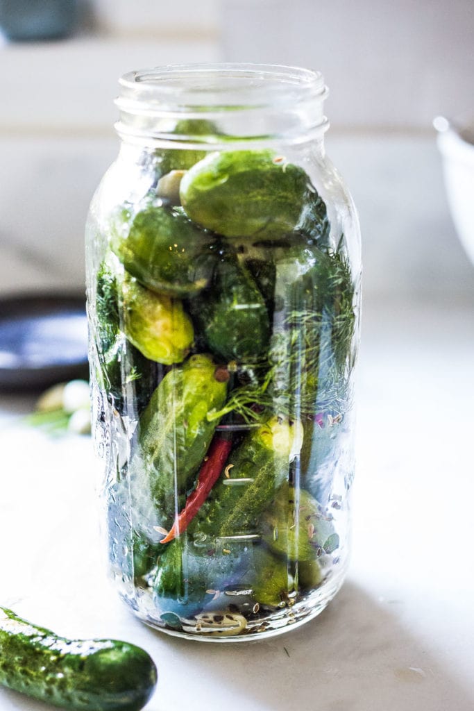 Fermented Pickles with Garlic and Dill | Feasting At Home