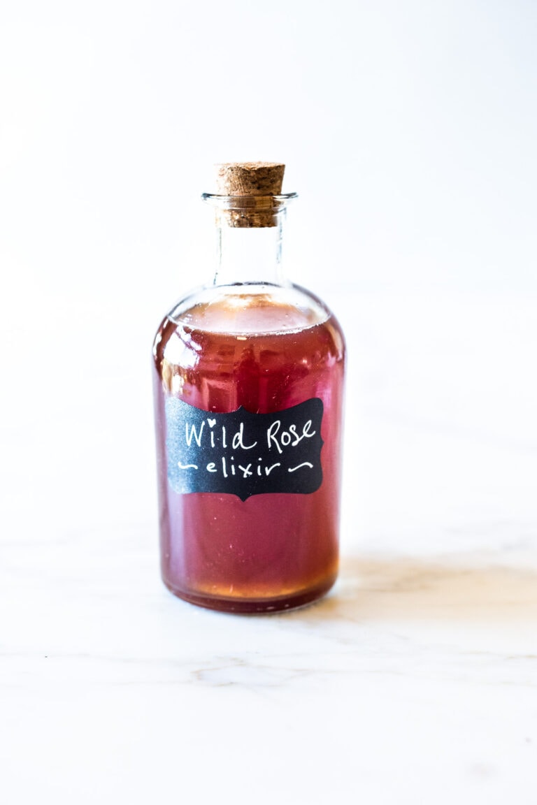 Wild Rose Elixir | Feasting At Home