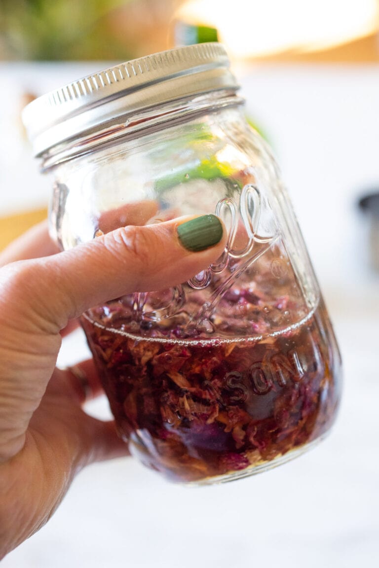 Wild Rose Elixir | Feasting At Home