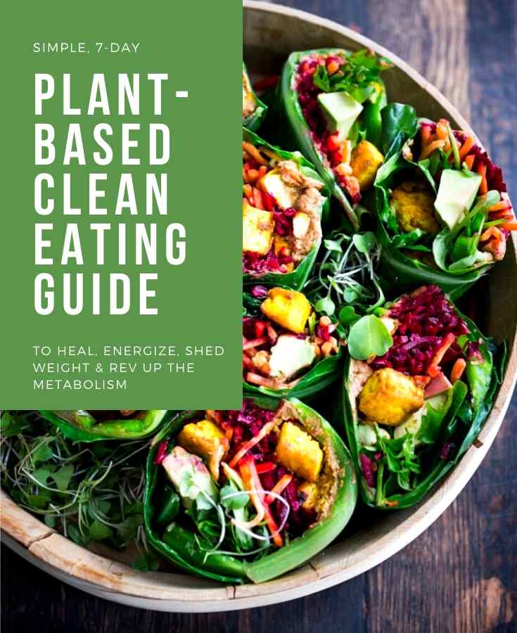 Plant Based Diet Guide And Recipes Feasting At Home plant-based-diet-guide-and-recipes-feasting-at-home