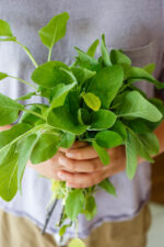 Oxymel (A Respiratory Tonic) | Feasting At Home