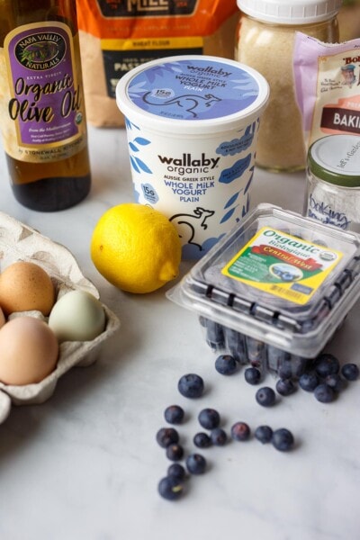 Blueberry Muffins (Video) | Feasting At Home