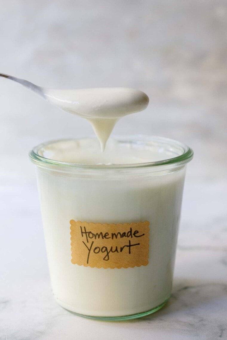 Homemade Yogurt | Feasting At Home