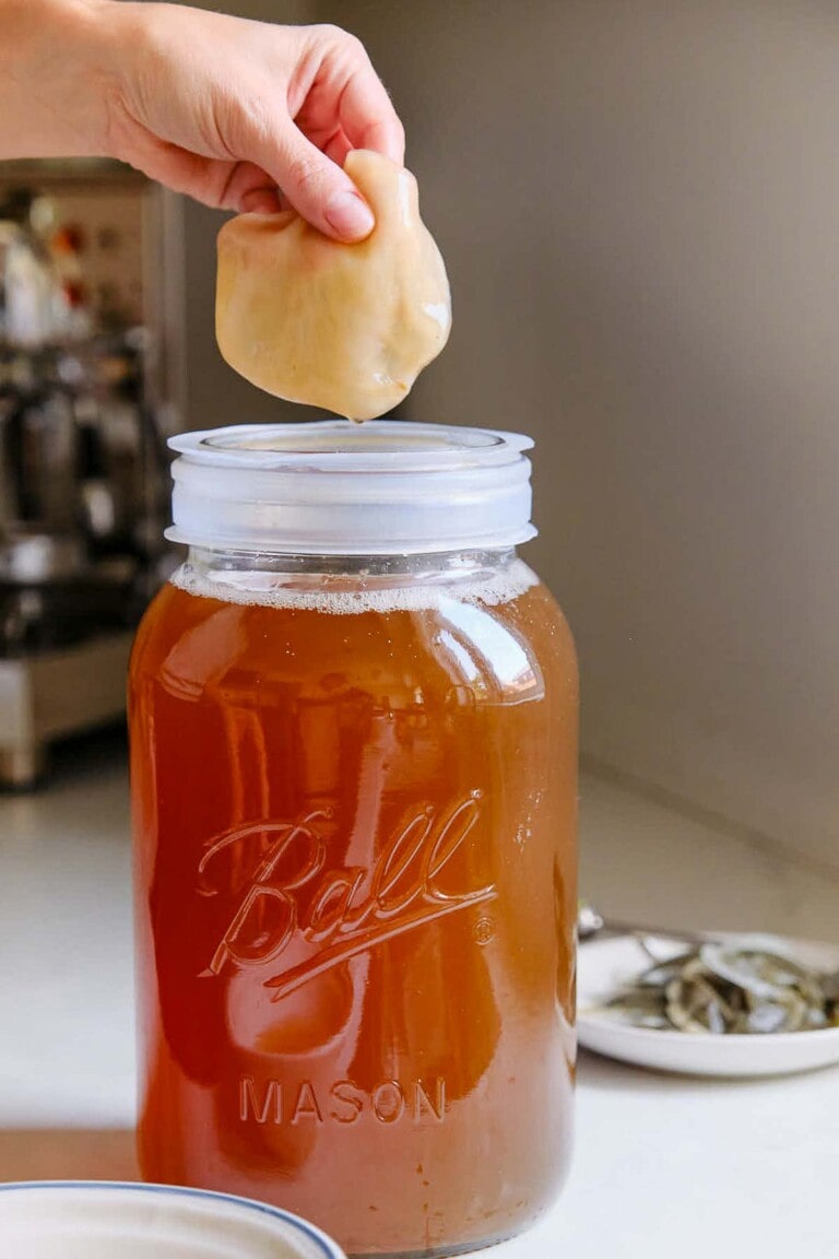 How to Make Homemade Kombucha (A Simple Guide) | Feasting At Home