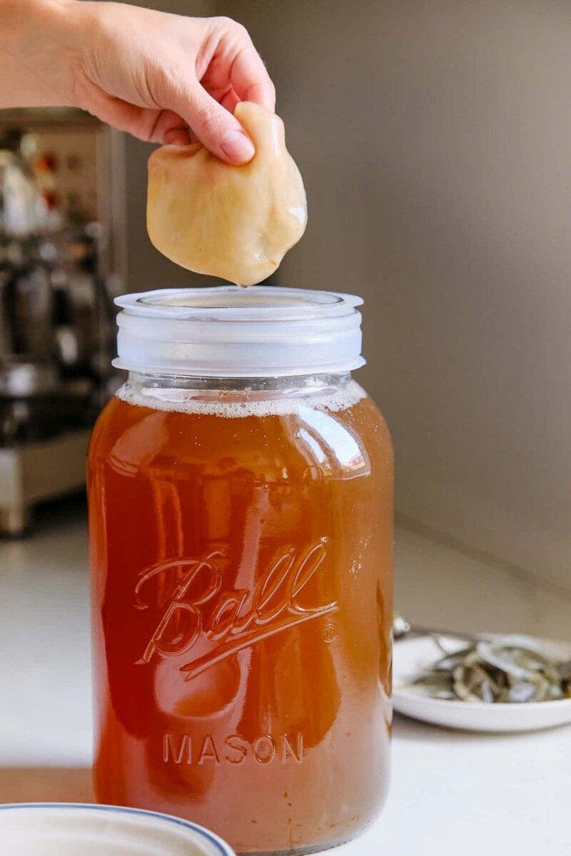 How to Make Homemade Kombucha (A Simple Guide) | Feasting At Home