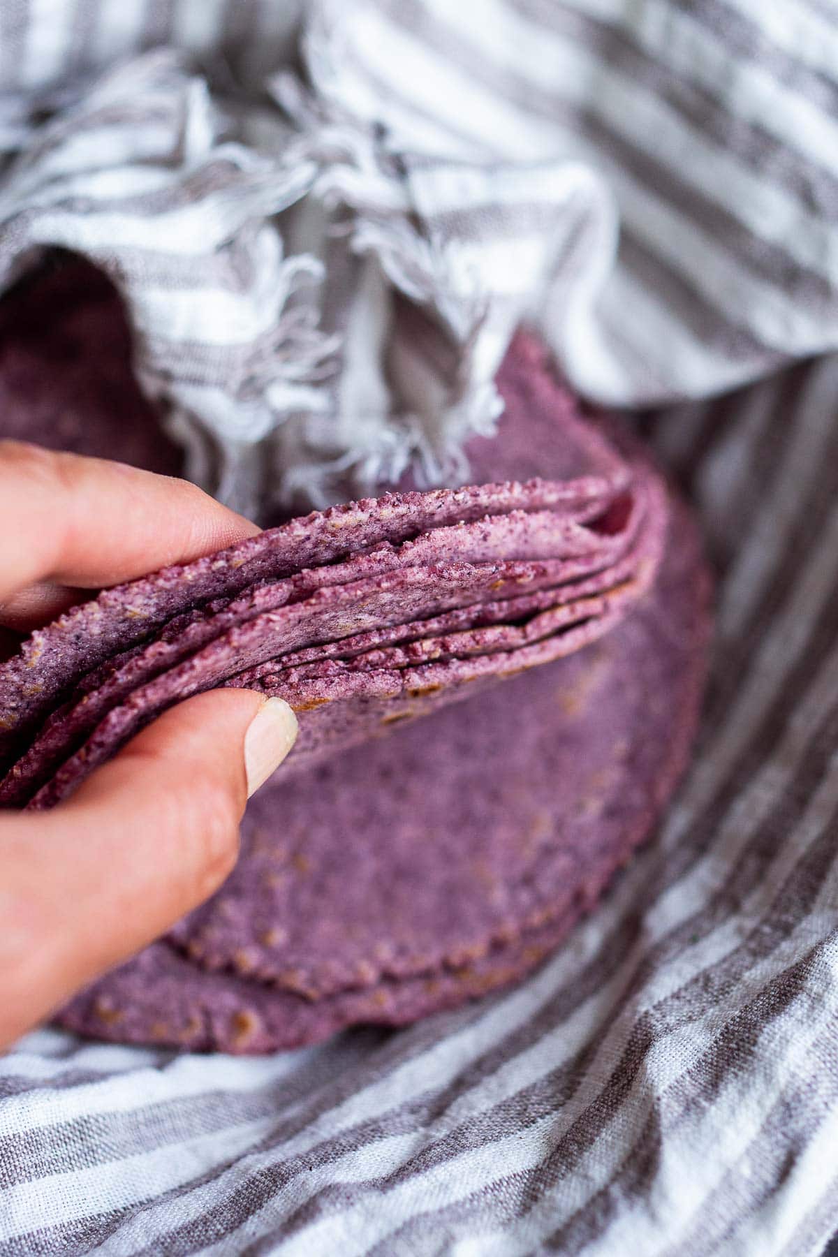 How to Make Homemade Tortillas | Feasting At Home