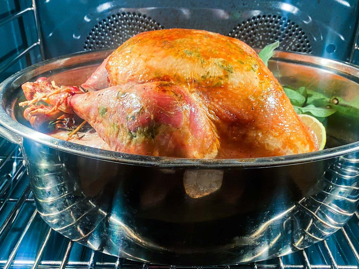 Best Thanksgiving Turkey Recipe - Feasting at Home