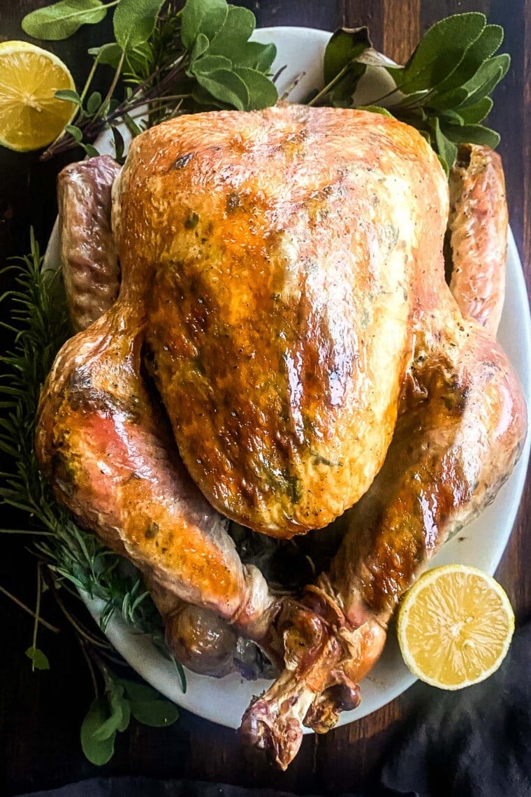 Turkey Recipes | Easy, healthy, turkey dinners + more - Feasting At Home