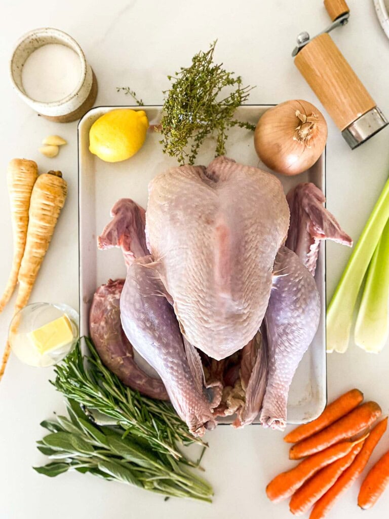 Best Thanksgiving Turkey Recipe - Feasting at Home