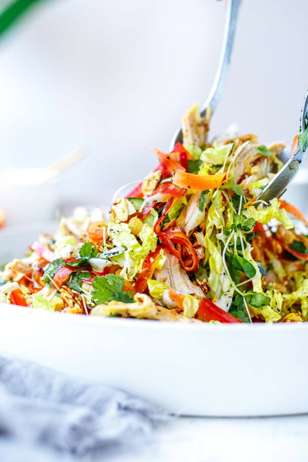 Chinese Chicken Salad | Feasting At Home